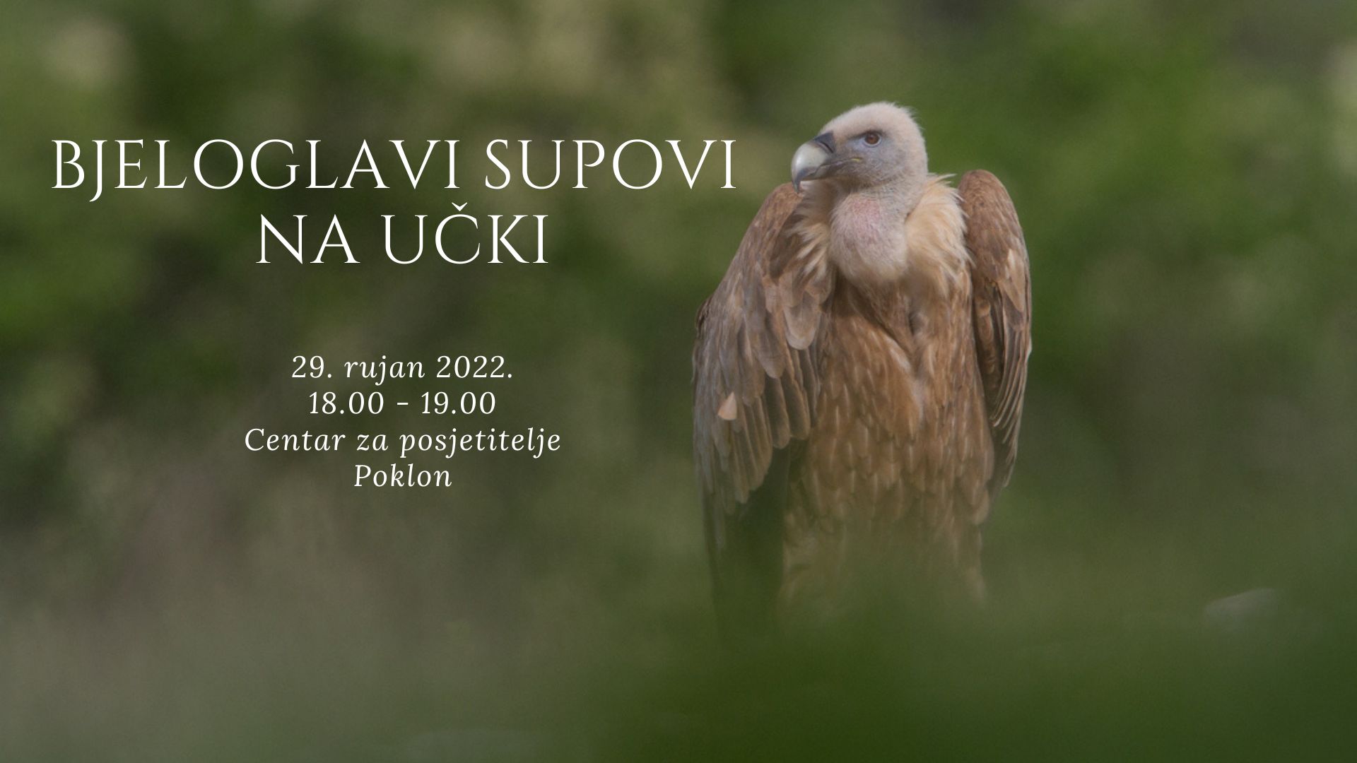 [NAJAVA PREDAVANJA] Bjeloglavi supovi na Učki, 29. 09. 2022. - Park ...