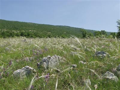 Travnjaci - Park prirode Učka